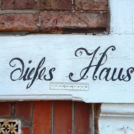 Nature inspires Calligraphy – Katja Frauenkron Deichgrafikerin