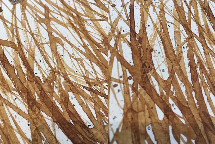 Nature inspires Calligraphy – Katja Frauenkron Deichgrafikerin